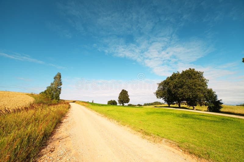 Rural road. stock photo. Image of rural, road, sunlight - 26129616