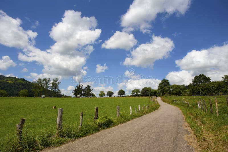 Rural road stock photo. Image of scenics, season, agriculture - 26797176