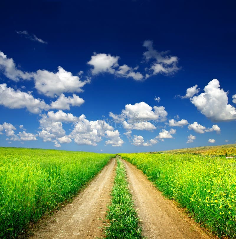 Rural road stock photo. Image of environment, pasture - 27834042