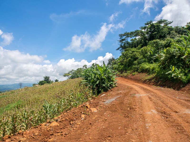 Rural road stock photo. Image of tree, color, road, country - 27954502