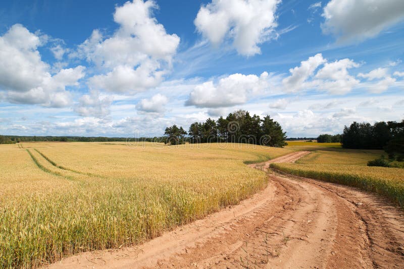 Rural road. stock photo. Image of land, nature, view - 28354162