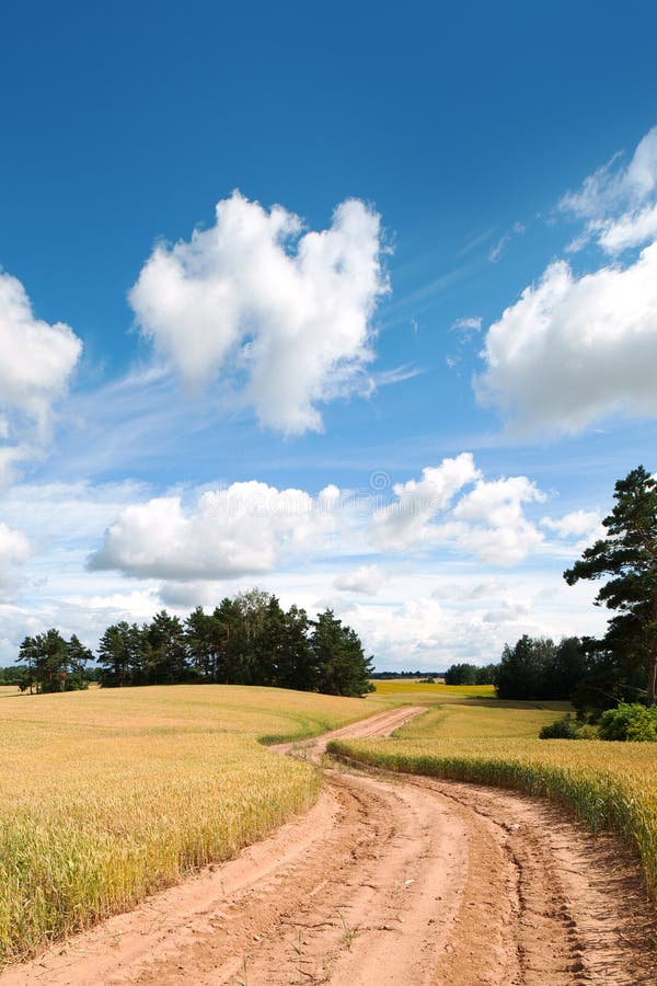 Rural road. stock image. Image of summer, grass, empty - 28354163