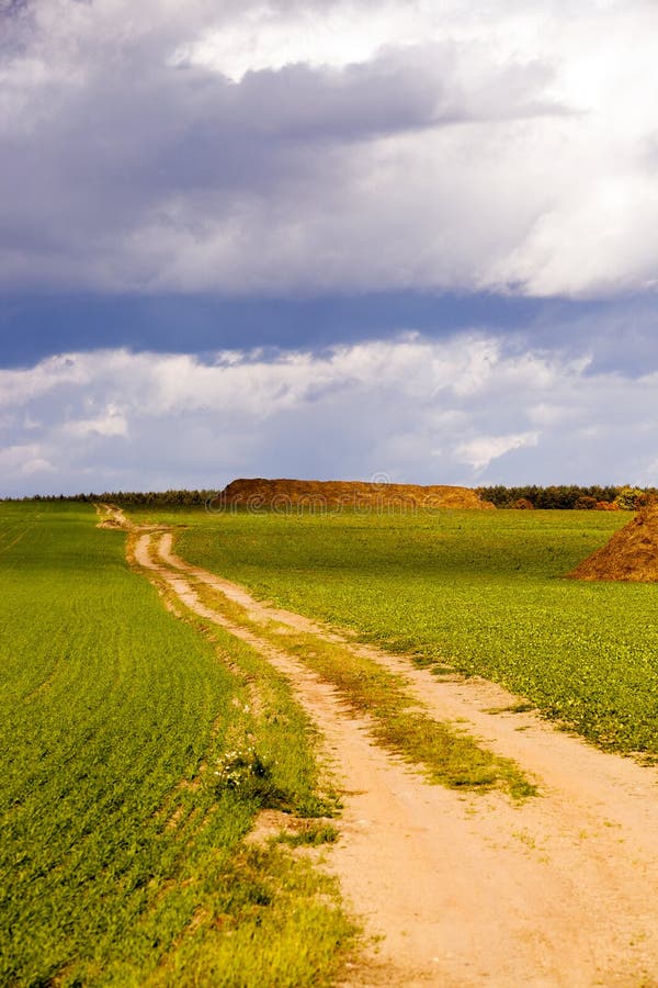 The rural road stock photo. Image of cereal, grass, area - 28572884