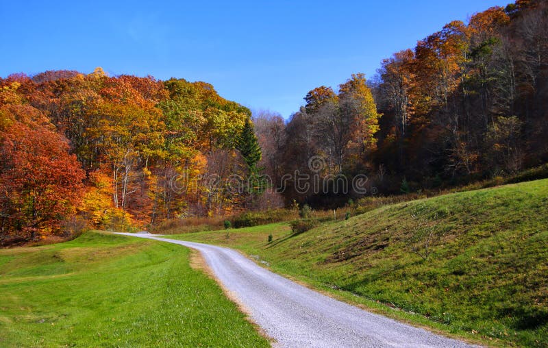 Rural road stock image. Image of road, environment, asphalt - 29342671