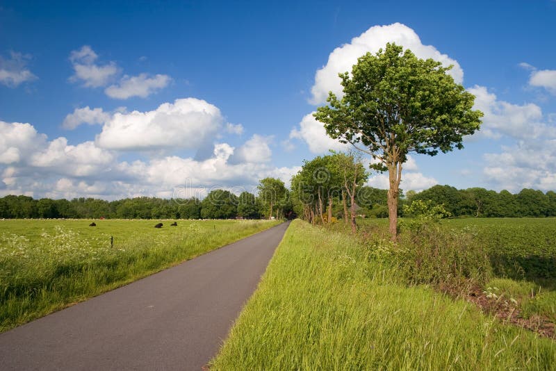Rural road stock photo. Image of grass, lawn, direction - 3027638