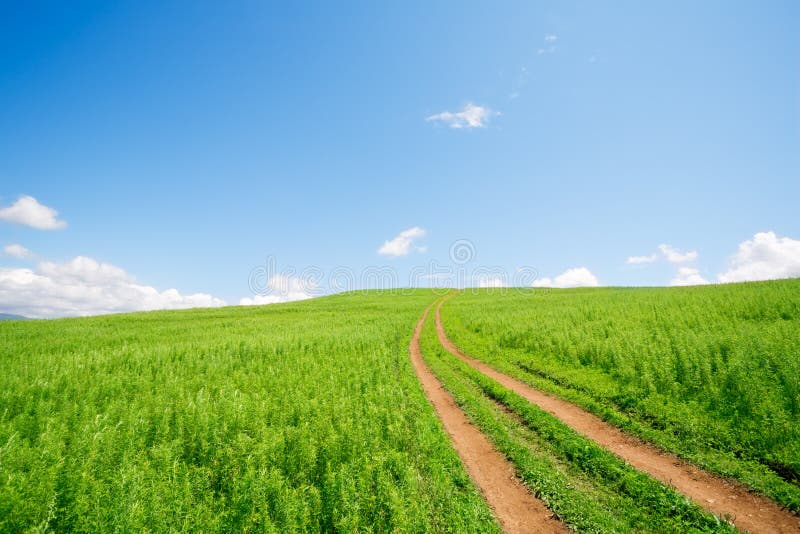 Rural road stock image. Image of country, foothills, herb - 4844275
