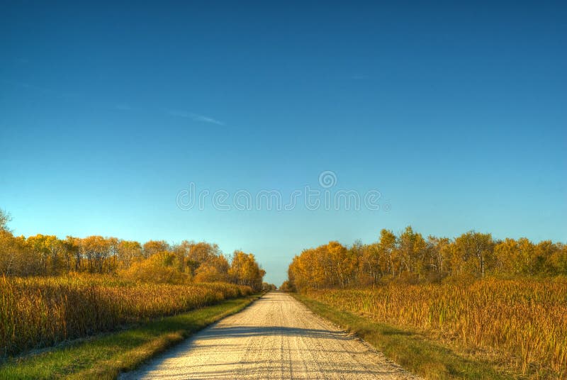 Rural Road stock image. Image of outback, rural, landscape - 6643443