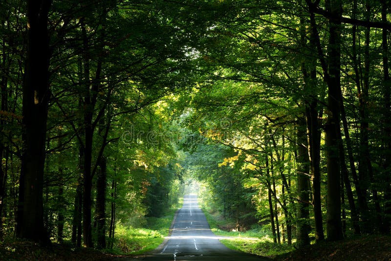 Rural road stock photo. Image of street, blue, route, dark - 7863656