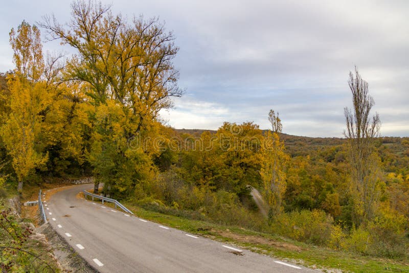 Rural road in autumn stock photo. Image of forest, outdoor - 170901382