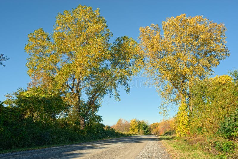 Rural Road in Autumn stock photo. Image of gravel, scenic - 33090070