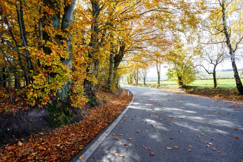 Rural Road in the Autumn with Yellow Trees Stock Photo - Image of ...