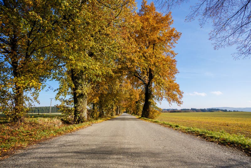 Rural Road in the Autumn with Yellow Trees Stock Image - Image of ...