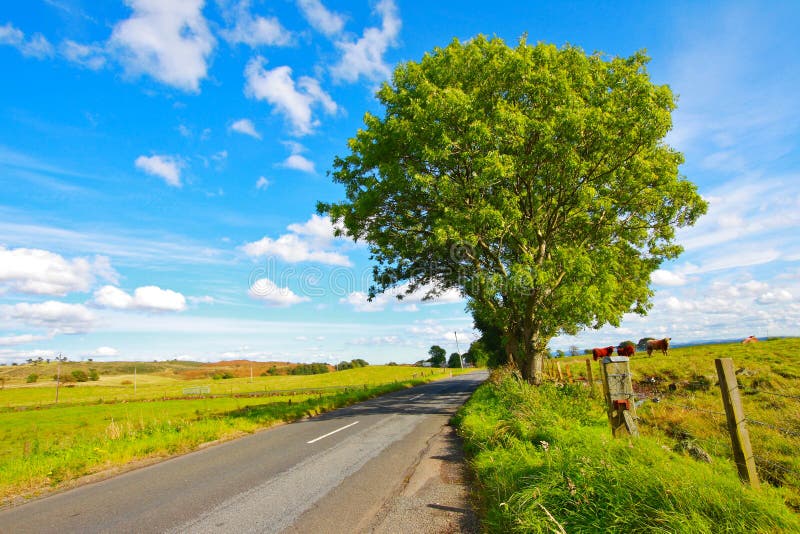 Rural Road in the Countryside Stock Photo - Image of rural, nature ...