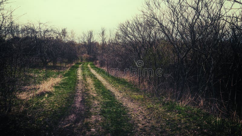 Dark Rural Road stock photo. Image of grass, scenery - 91680154