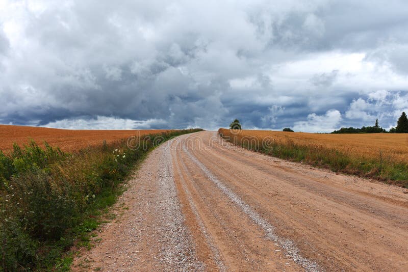 Rural road. stock image. Image of horizon, grass, green - 32420925