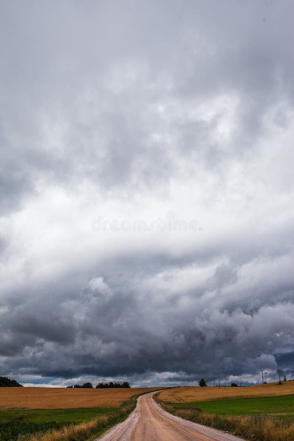 Rural road. stock photo. Image of empty, summer, nature - 32459538