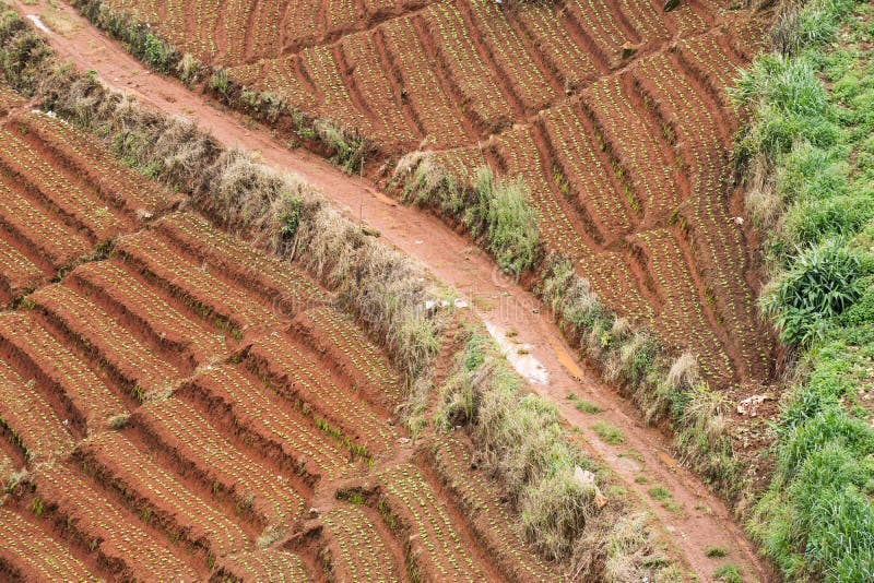 Rural road stock image. Image of road, dirt, farmland - 60582131