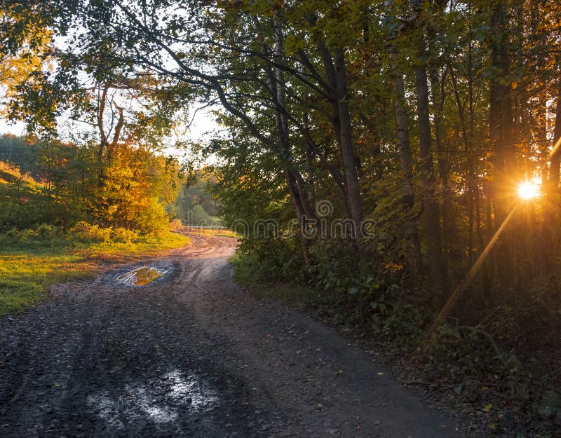 Rural Road at the Exit from the Forest in the Evening at Sunset in ...