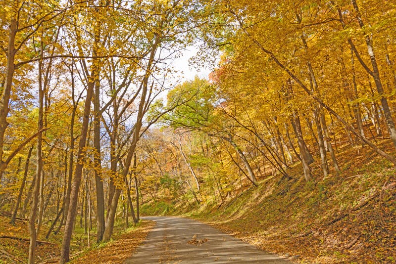 Rural Road on a Fall Day stock photo. Image of backbone - 47643770