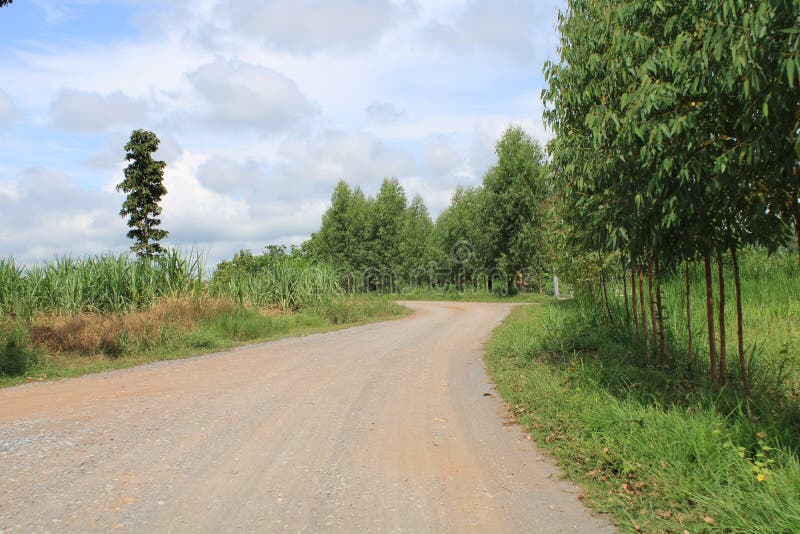 Rural Road in of Farmland in the Rural. Stock Image - Image of grass ...