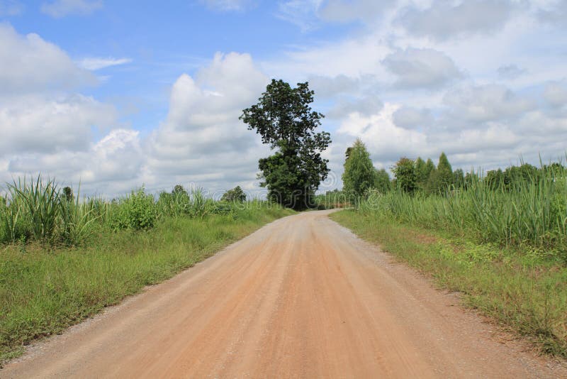 Rural Road in of Farmland in the Rural. Stock Image - Image of horizon ...