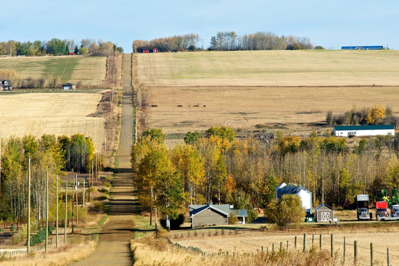 Rural Road and Farms in Fall Stock Photo - Image of building, empty ...