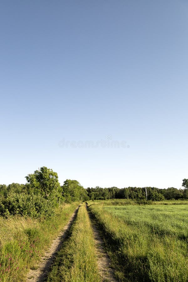 Rural Road in Field stock image. Image of grass, trees - 96740285