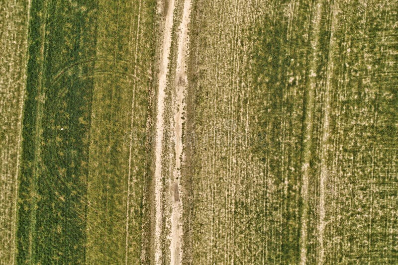 Rural Road between Fields with Lines Textures Stock Image - Image of ...
