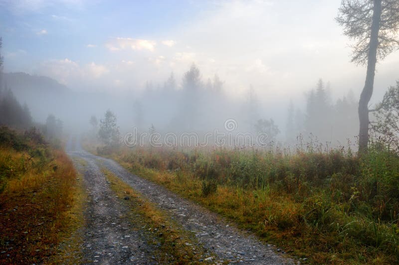Rural road and fog stock photo. Image of nature, scenery - 34178760