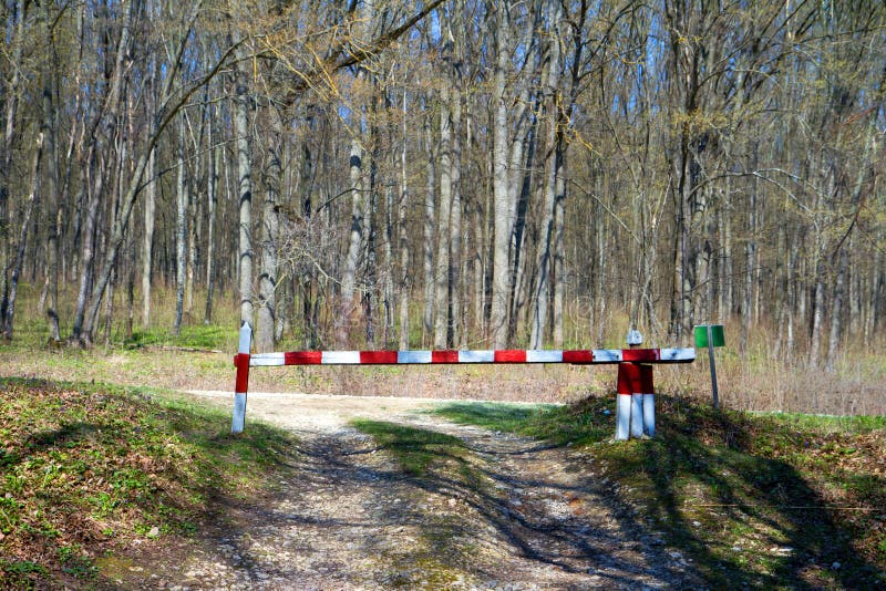 Rural Road in the Forest with Closed Barrier Stock Photo - Image of ...