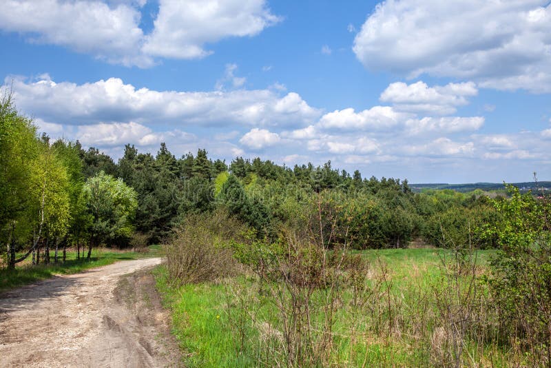 Rural Road through the Forest. Stock Image - Image of autumn, foliage ...