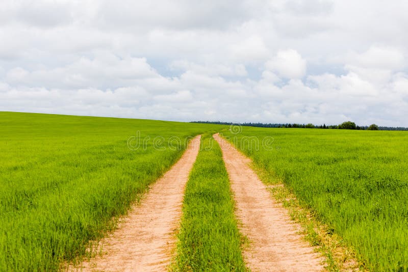 Rural Road that Goes through Green Meadows and Fields. Sunny Summer Day ...