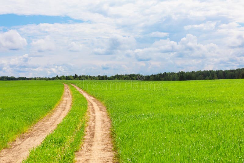 Rural Road that Goes through Green Meadows and Fields. Sunny Summer Day ...