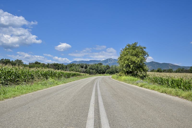 Rural Road Going through Corn Fields Stock Image - Image of lane ...