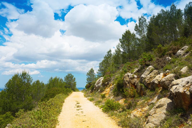 Rural road going forward stock image. Image of scenic - 79598109