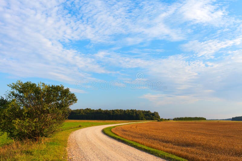 Rural road. stock photo. Image of rural, road, country - 33074800