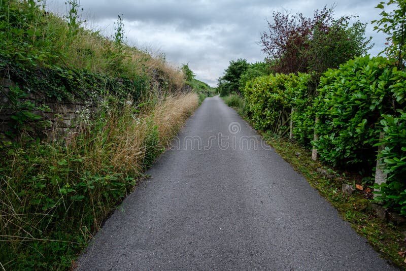 Rural Road with Green Bushes and Dark Clouds in the Sky Stock Photo ...
