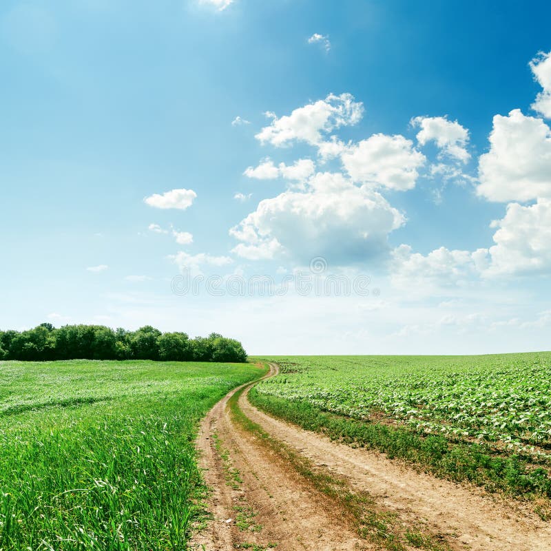 Rural Road in Green Fields and Clouds Over it Stock Image - Image of ...