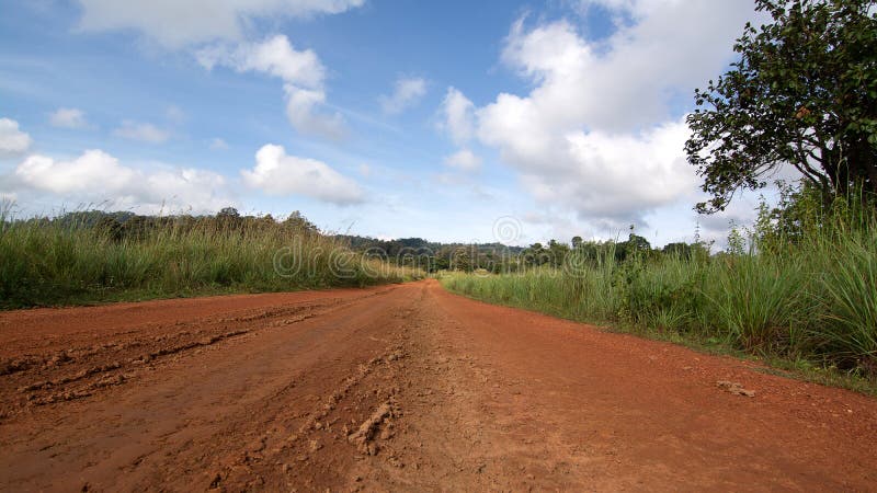 Rural Road through Green Fields and Tree in Thailand Stock Photo ...