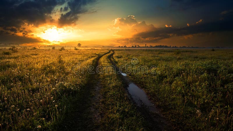 Rural Road in Green Grass and Orange Summer Sunset. Stock Photo - Image ...