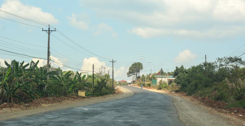 Rural Road with Many Trees in Lam Dong, Vietnam Editorial Stock Image ...