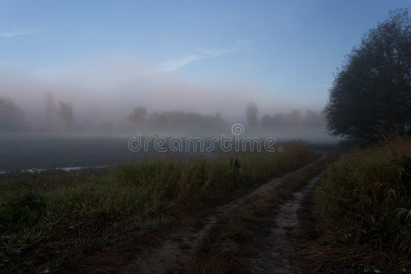 Rural road in morning mist stock photo. Image of light - 99857620