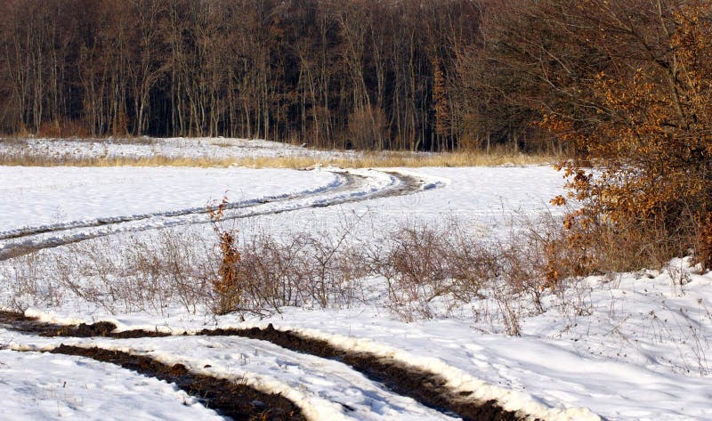 Rural road near the forest stock photo. Image of tracks - 28387614