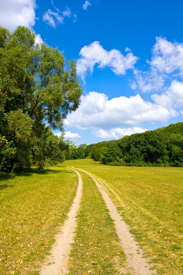Rural Road at Nice Summer Day Stock Photo - Image of drive, feed: 10663234