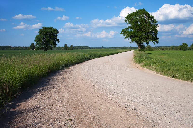 Rural road. stock photo. Image of season, countryside - 31726732