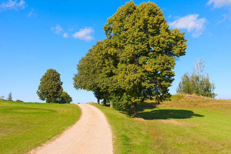 Rural road. stock photo. Image of land, success, rural - 32716638