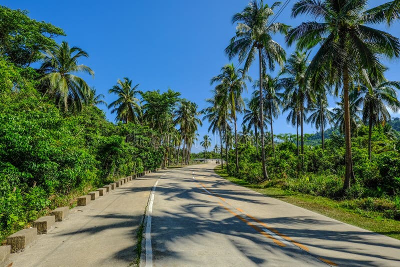 Rural Road in Palawan, Philippines Stock Photo - Image of coast ...