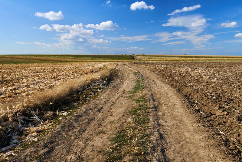 Agricultural Road through Fields Stock Photo - Image of countryside ...