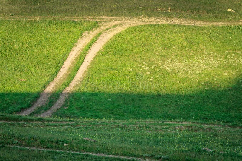 Rural Road Runs through a Field of Green Grass Stock Photo - Image of ...