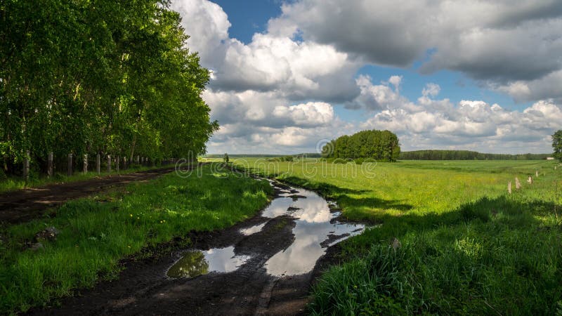 Rural road in the spring stock photo. Image of field - 38308360